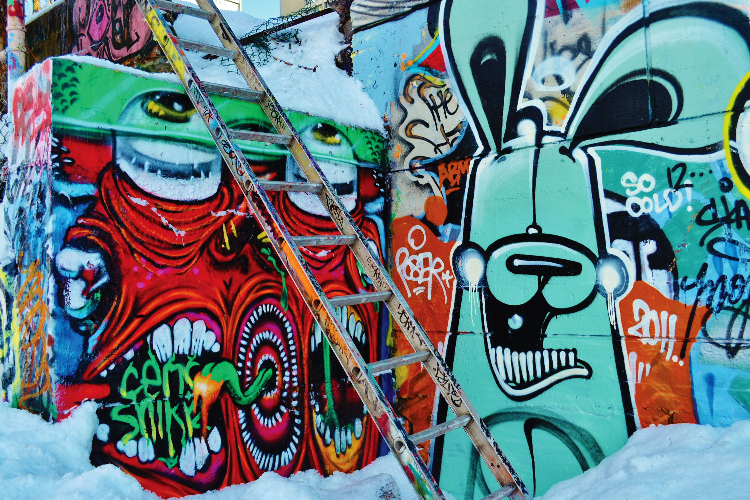 Interview With A Graffiti Artist The Fulcrum