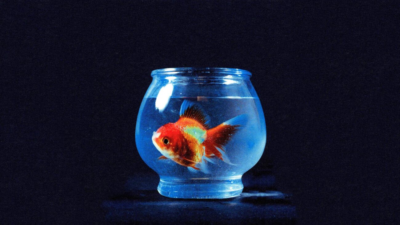 Albums you should have listened to: Vince Staples—Big Fish Theory ...